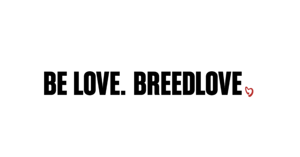 Breedlove Guitars Announces 2026 Relaunch at NAMM – MusicPlayers.com